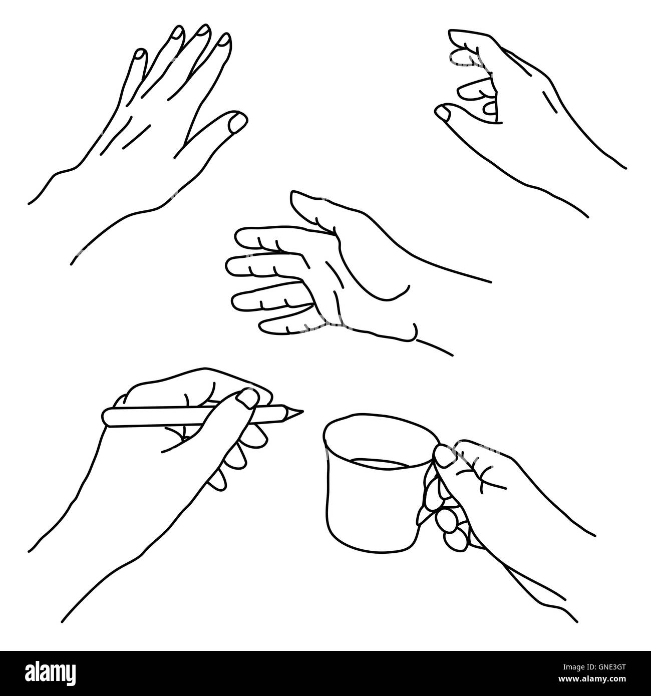 Line drawing of hands in various positions and gestures Stock Vector ...