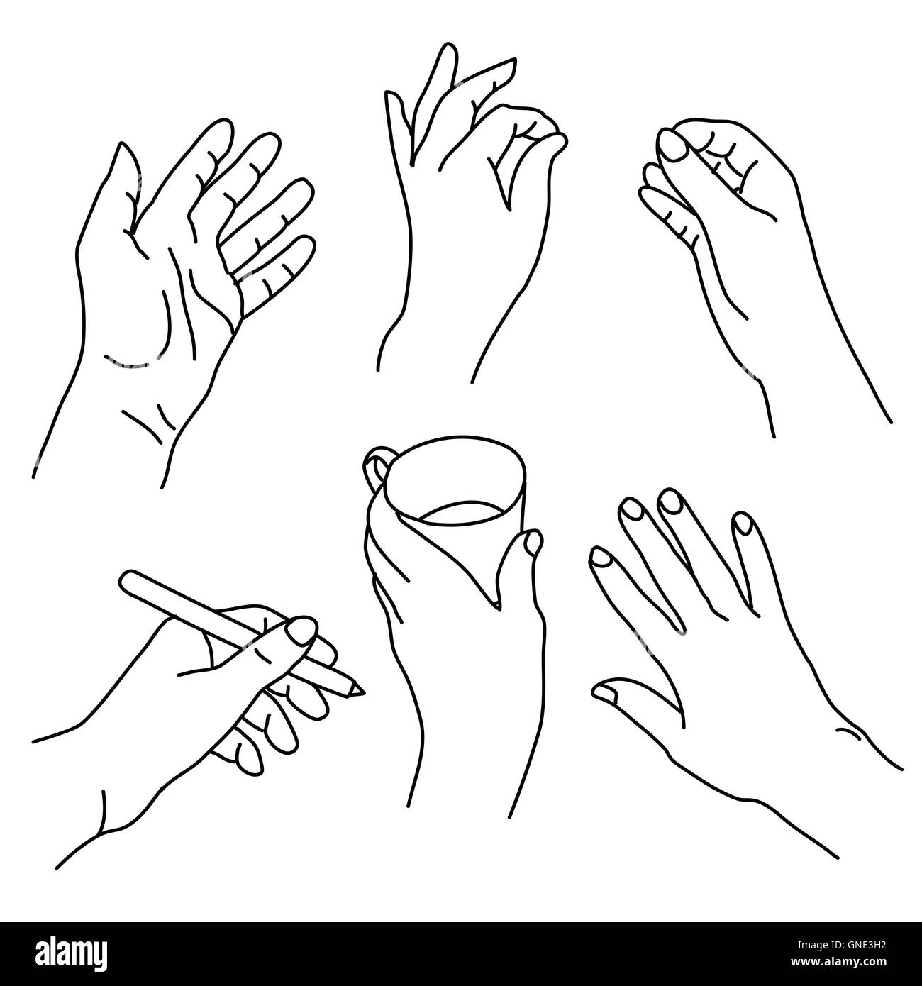Line drawing of hands in various positions and gestures Stock Vector ...