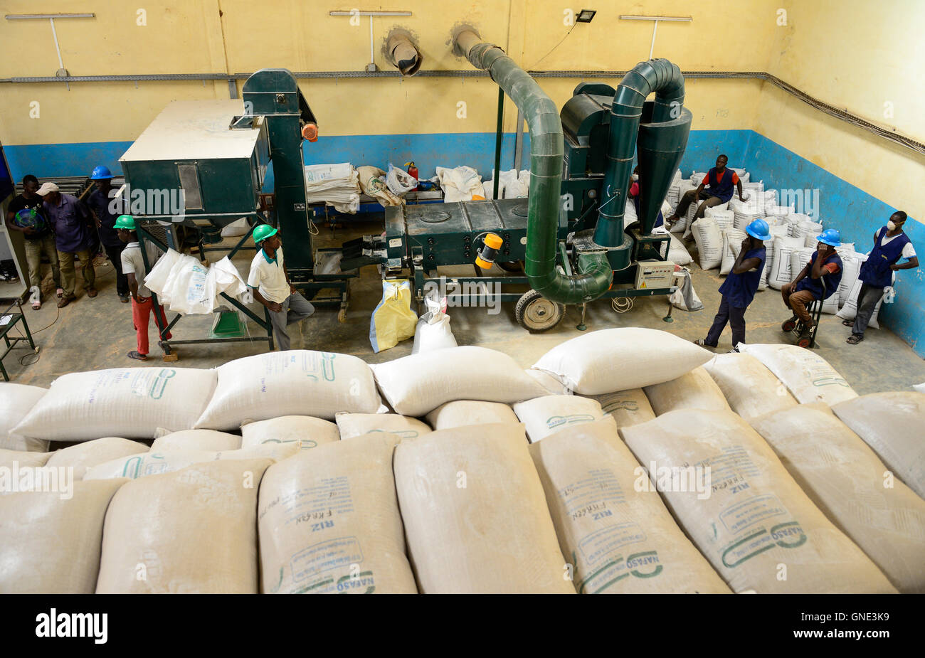 BURKINA FASO, Bobo Dioulasso, company Nafaso hybrid seed production and ...