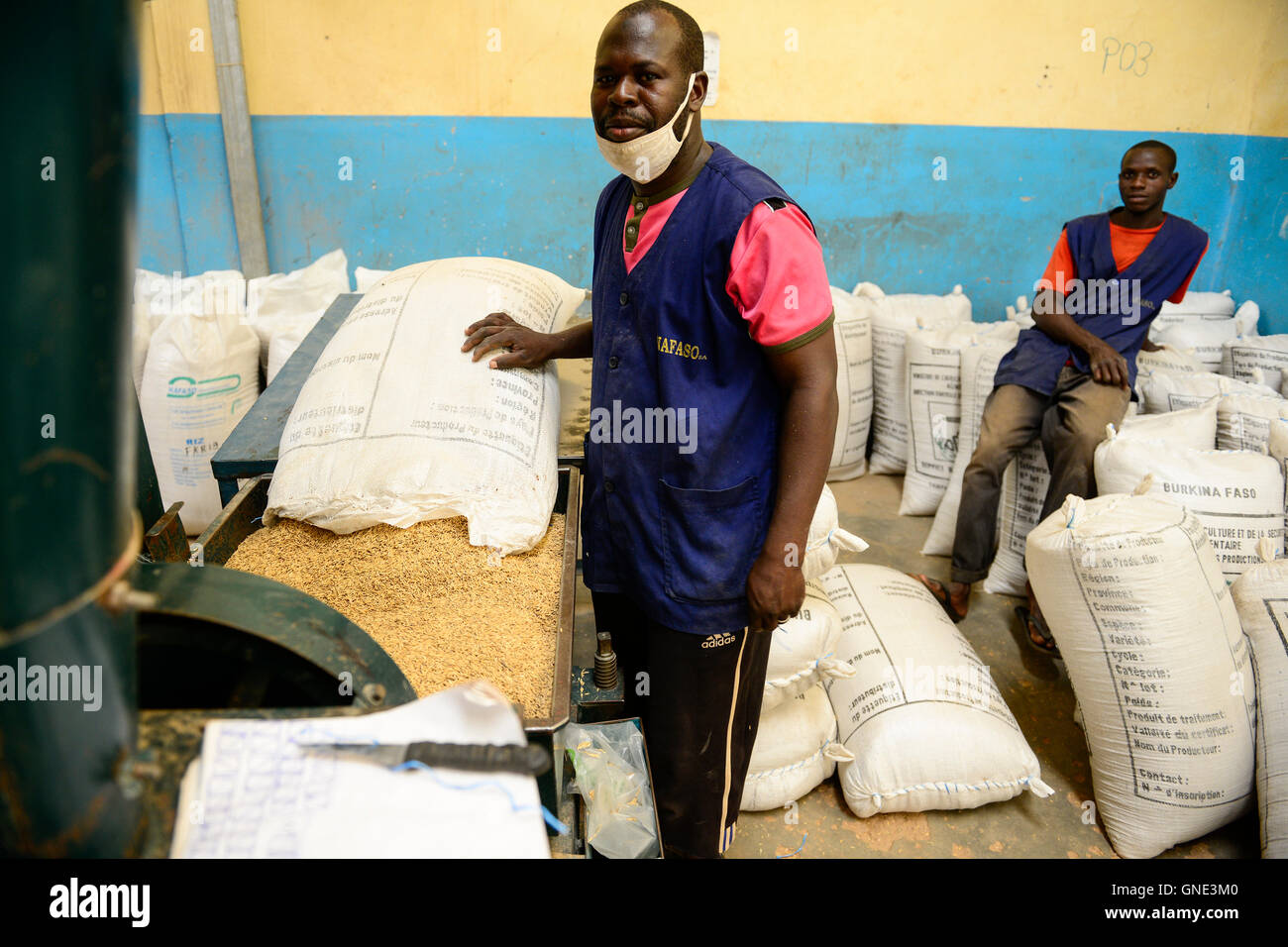 BURKINA FASO, Bobo Dioulasso, company Nafaso hybrid seed production and ...