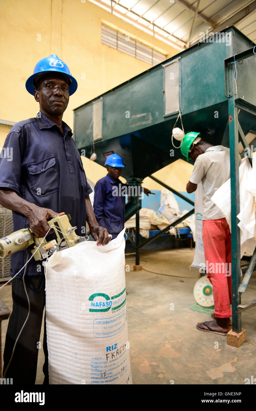 BURKINA FASO, Bobo Dioulasso, company Nafaso hybrid seed production and ...