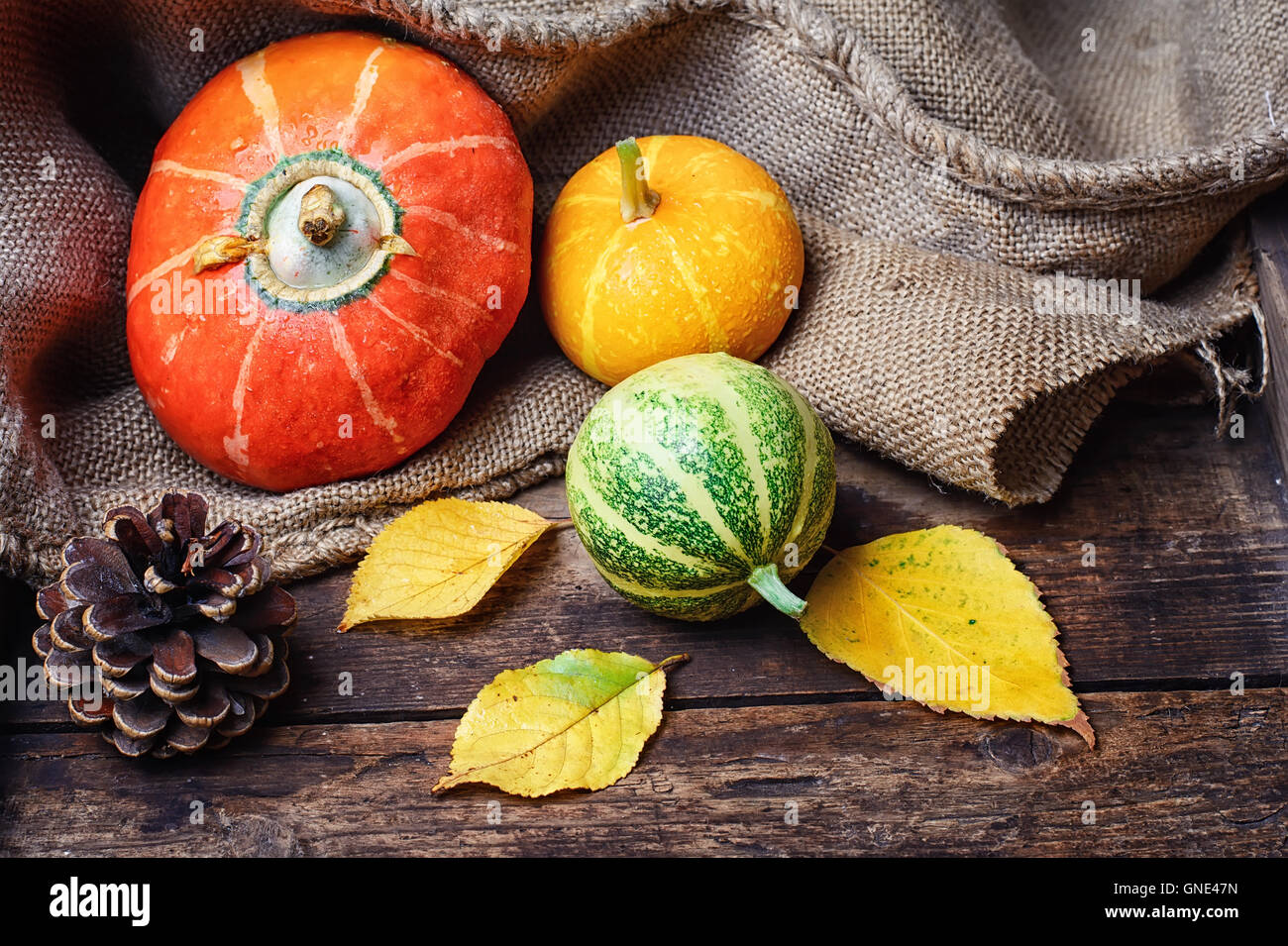 Decorative pumpkin,the symbol of autumn in rural style Stock Photo - Alamy
