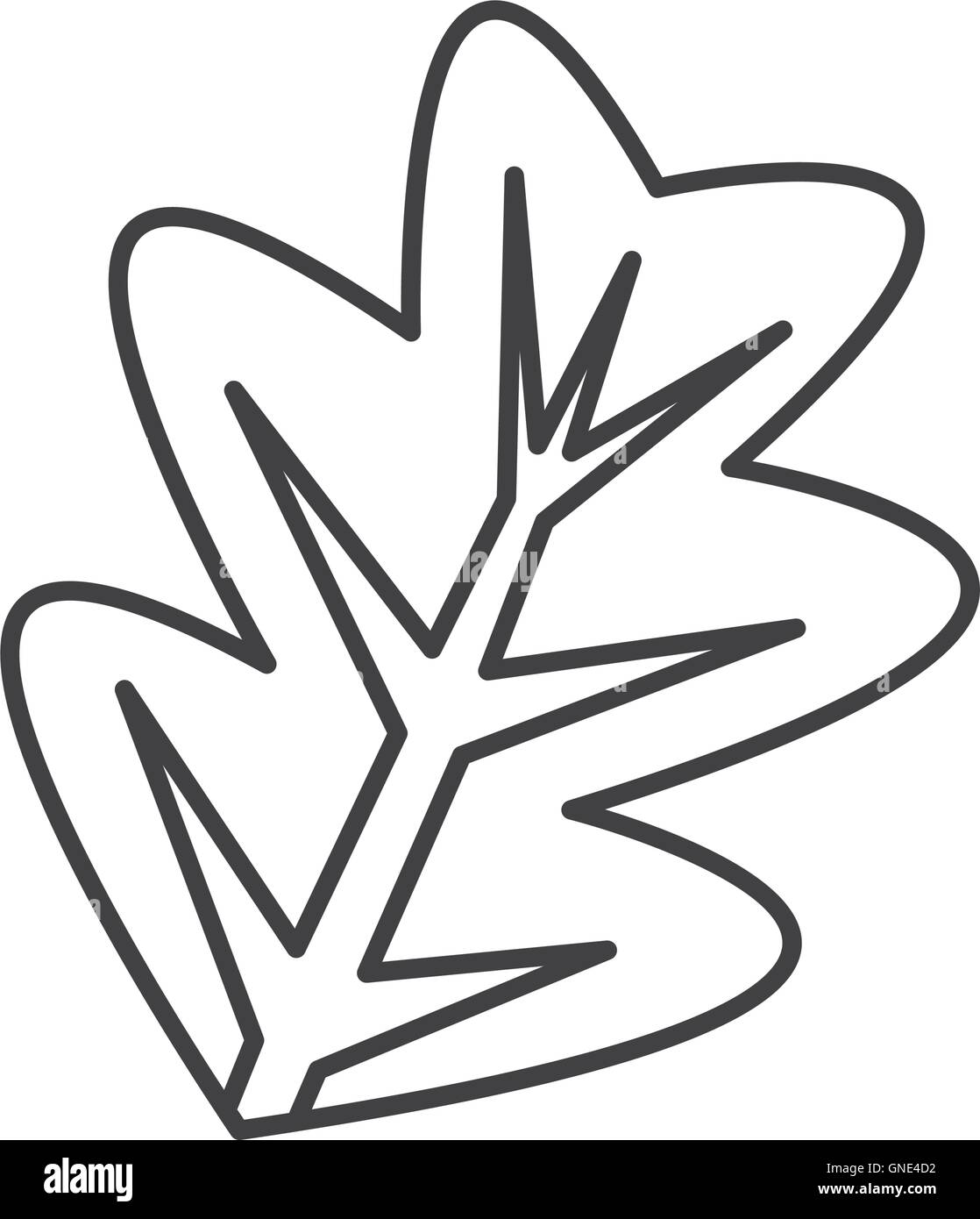 Orange branch fruit leaves Black and White Stock Photos & Images - Alamy