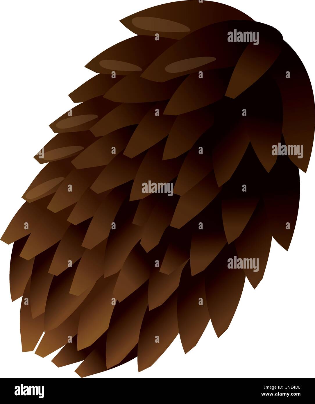 single pine cone icon Stock Vector Image & Art - Alamy