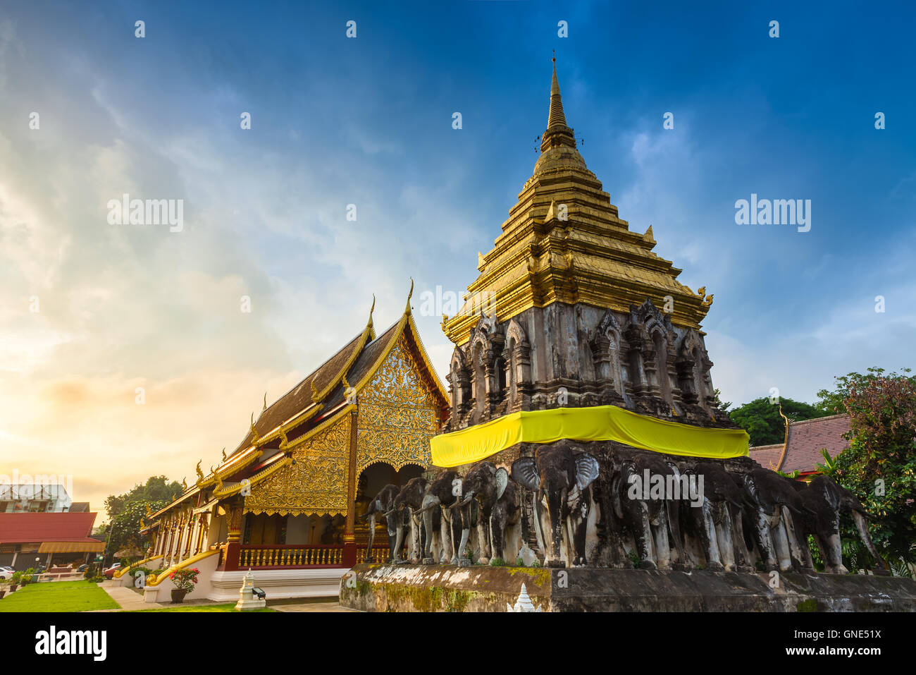 Decorated elephant thailand asia hi-res stock photography and images ...