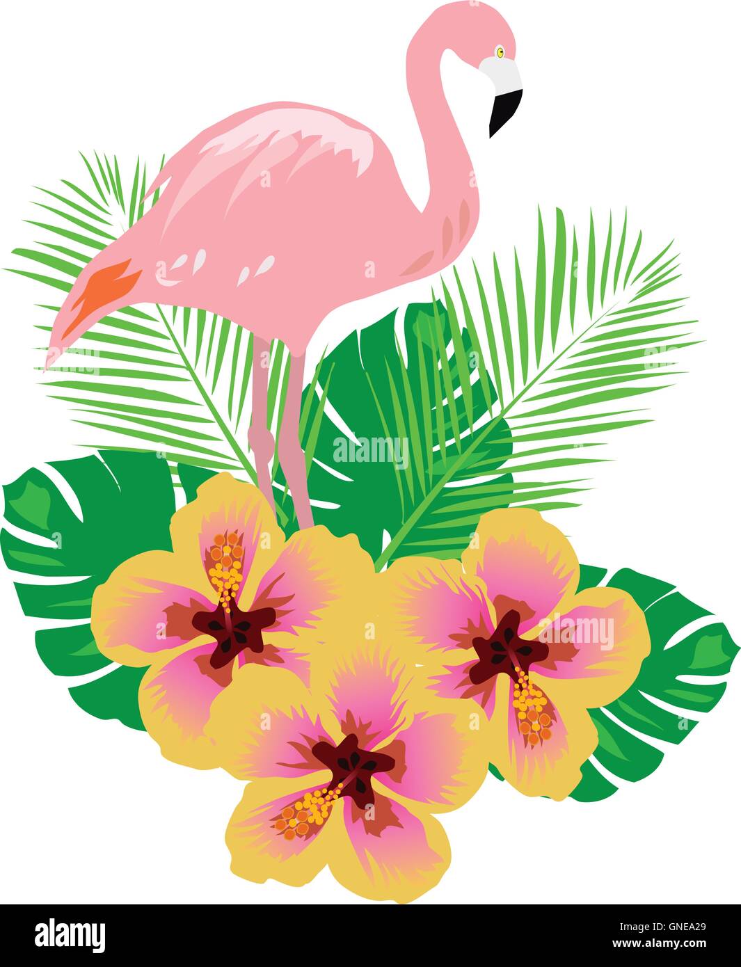 Banner pink flamingo flowers hi-res stock photography and images - Alamy