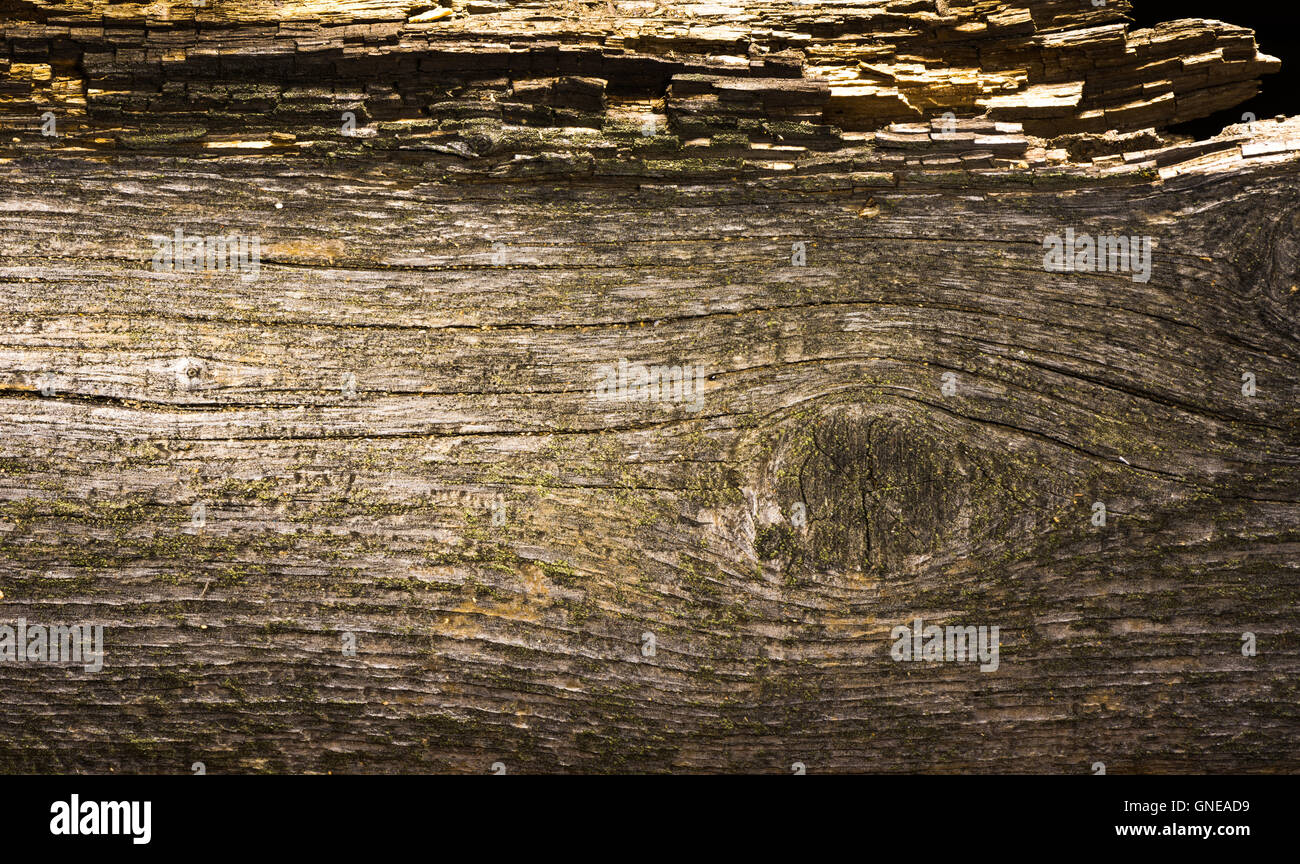closeup of old wood texture Stock Photo - Alamy