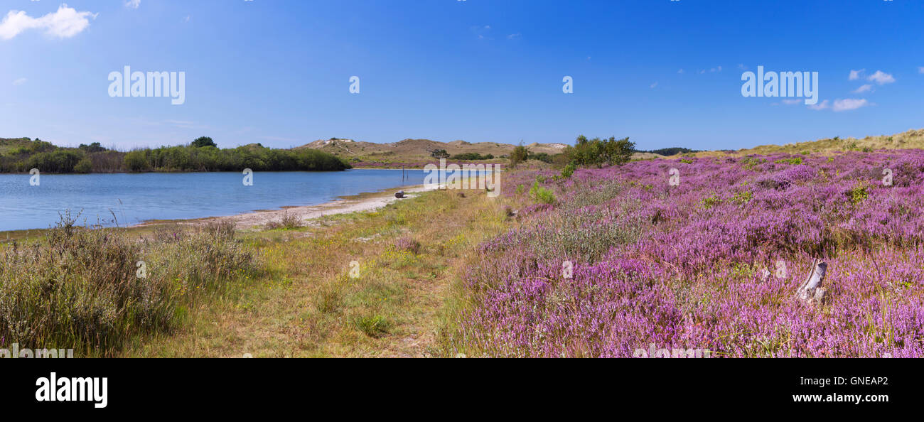 Heather sand hi-res stock photography and images - Alamy