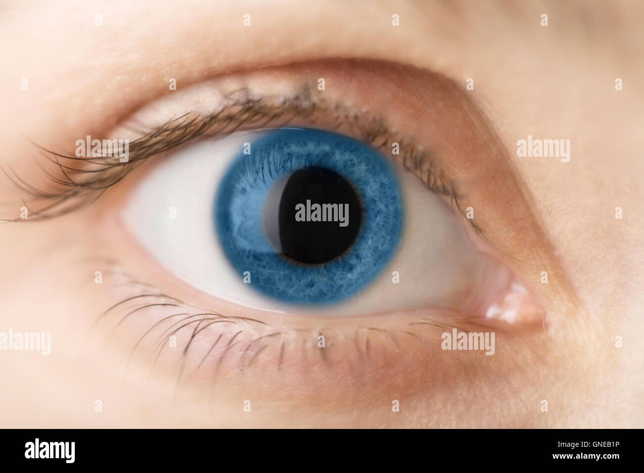 Human wide open blue eye hi-res stock photography and images - Alamy
