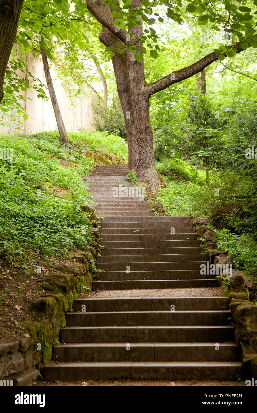 stone stairs in the park Stock Photo - Alamy