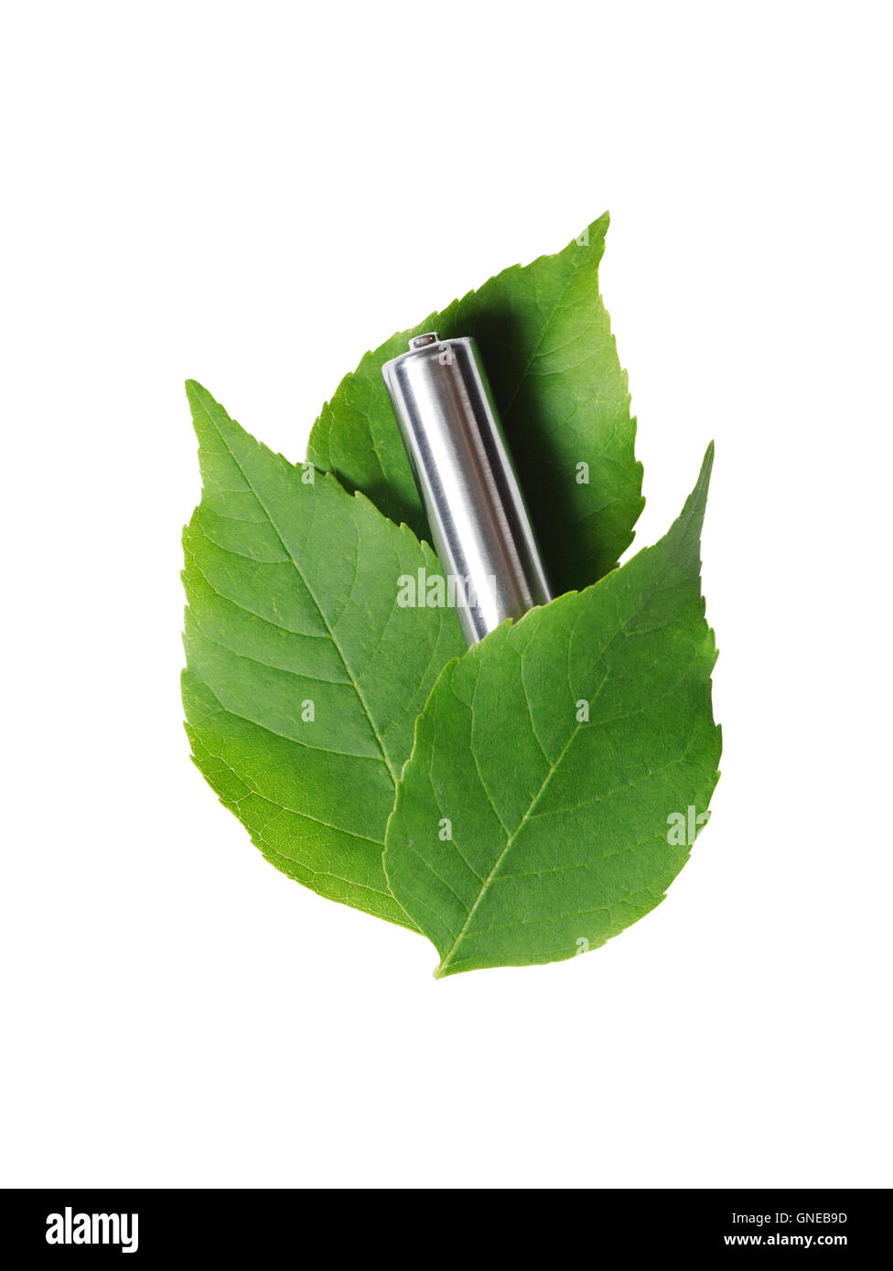 Battery On Leaves Stock Photo - Alamy