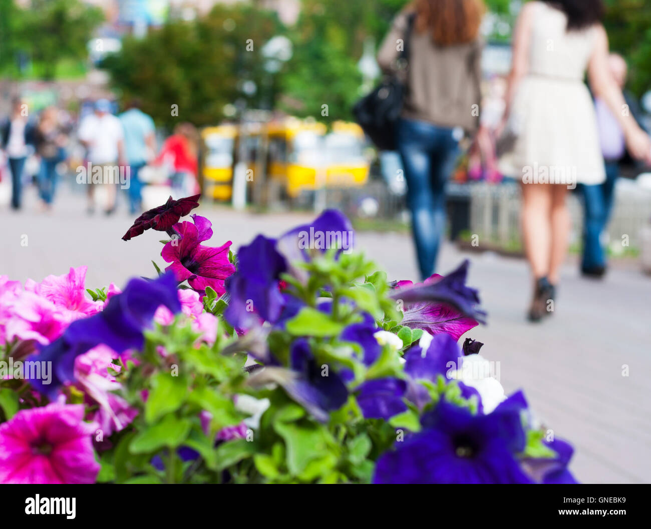 People walking down the street. Flowers on the front plane Stock Photo ...