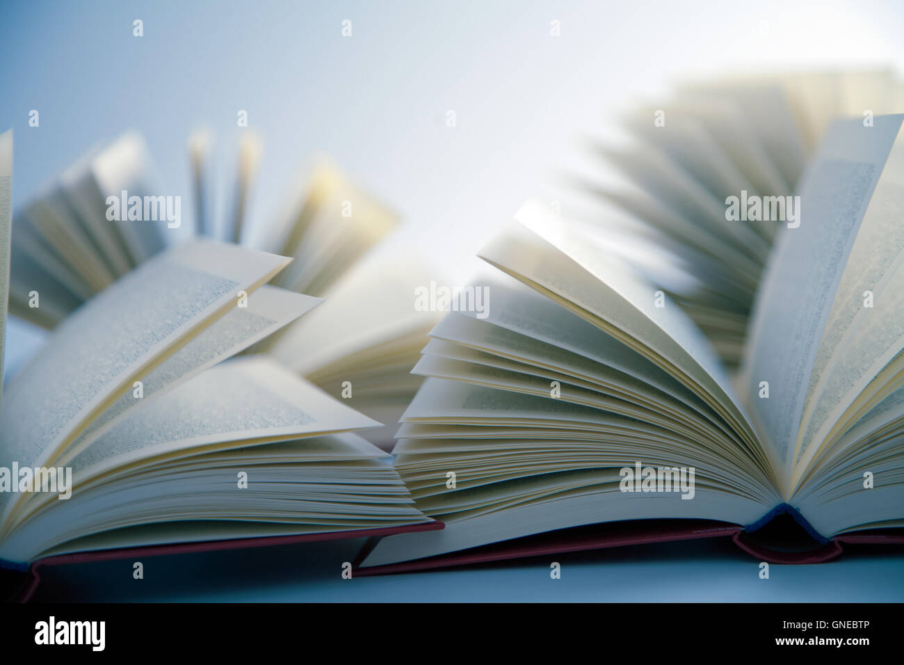 Big blue book hi-res stock photography and images - Alamy