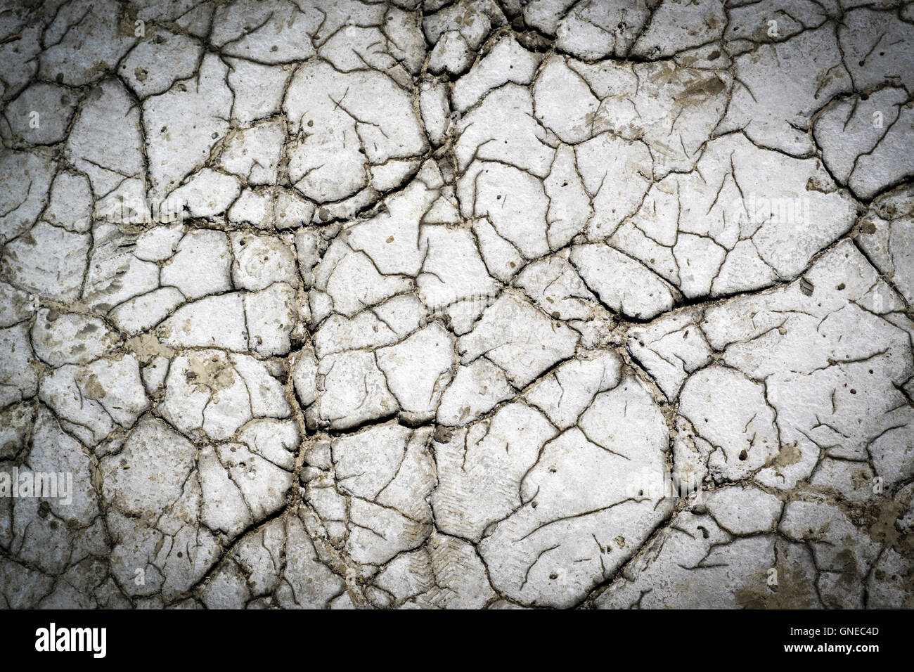 Dry ground texture Stock Photo - Alamy