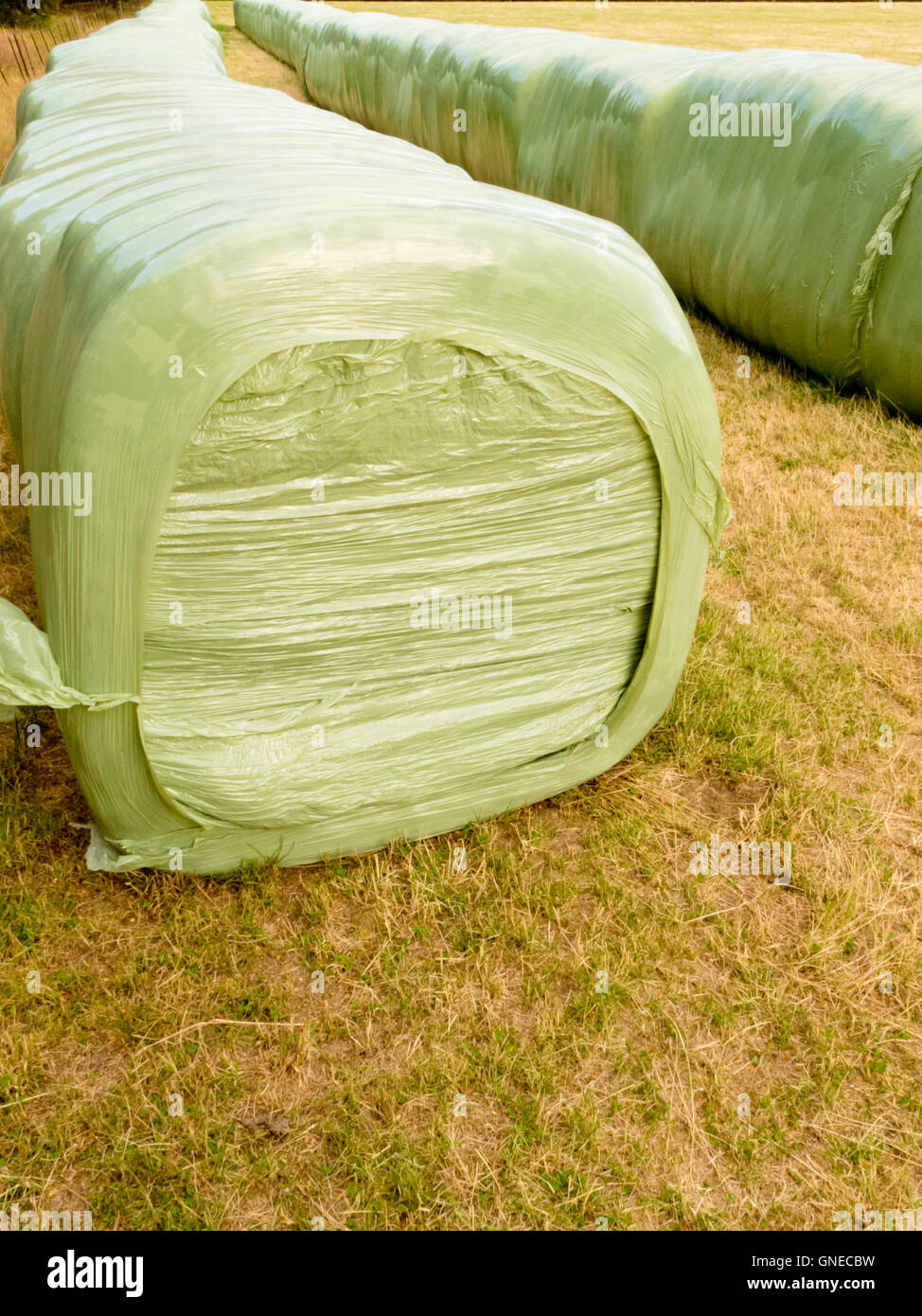 Fermentation hay hi-res stock photography and images - Alamy
