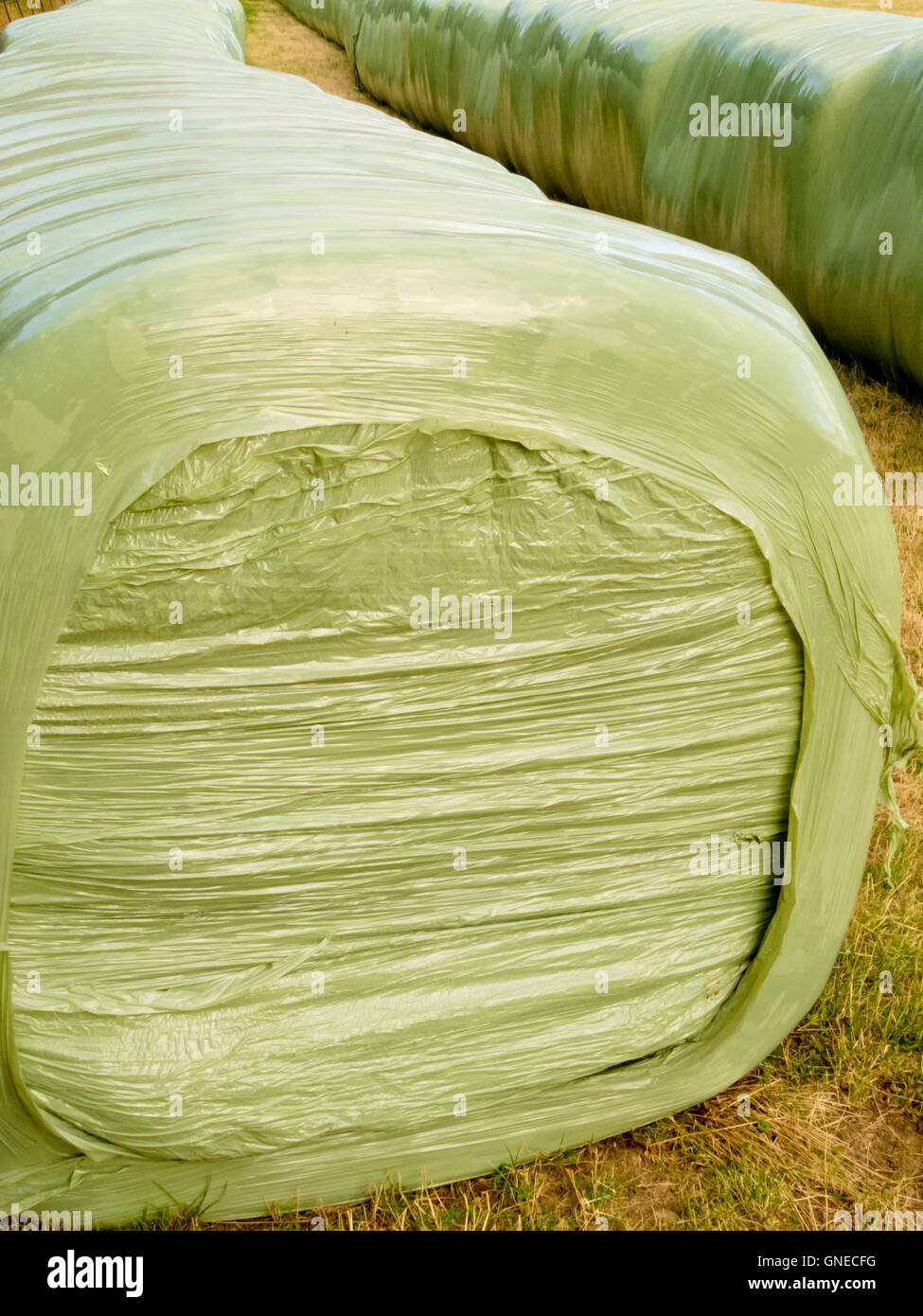 Fermentation hay hi-res stock photography and images - Alamy