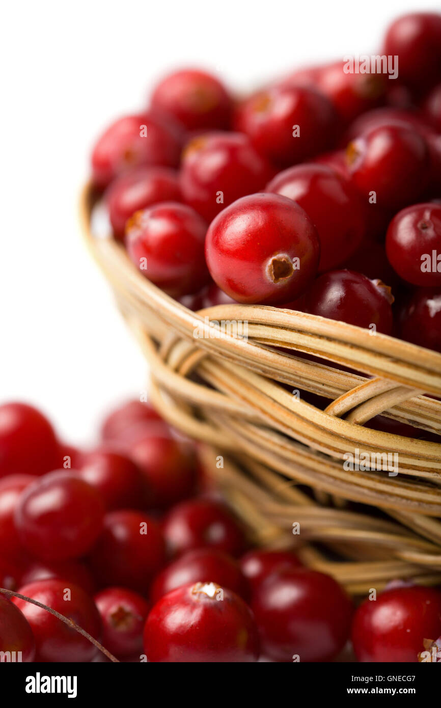 red cranberries isolated Stock Photo - Alamy