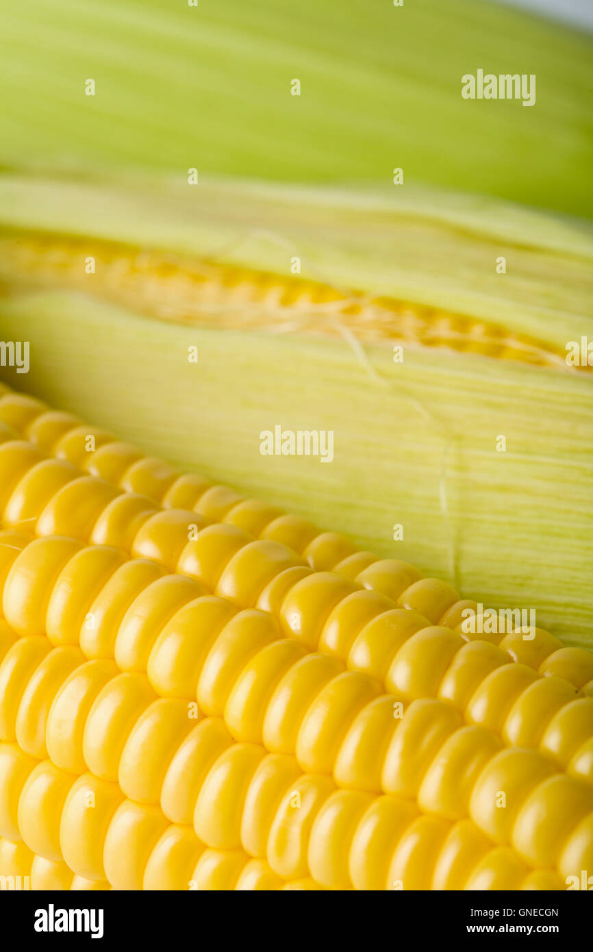 macro of fresh maize Stock Photo - Alamy