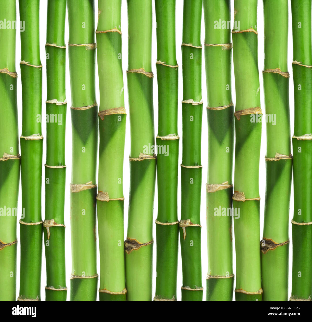 bamboo background isolated Stock Photo - Alamy