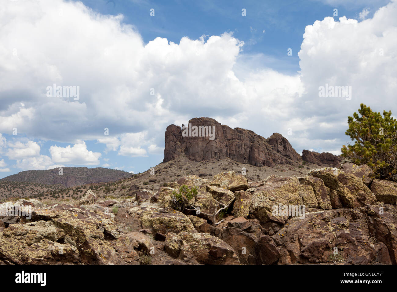 Colorado norte hi-res stock photography and images - Alamy