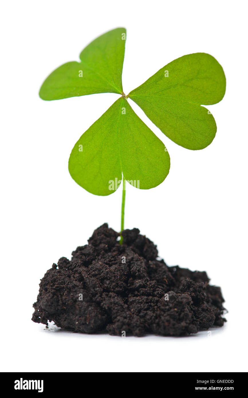 Soil and straw Cut Out Stock Images & Pictures - Alamy