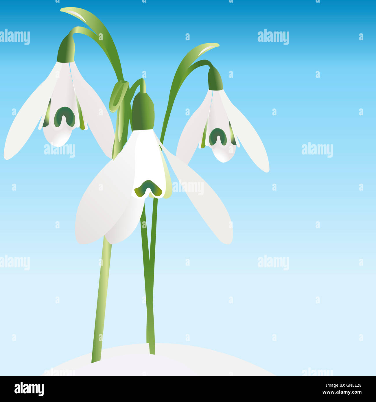 Spring background with snowdrop Stock Photo - Alamy