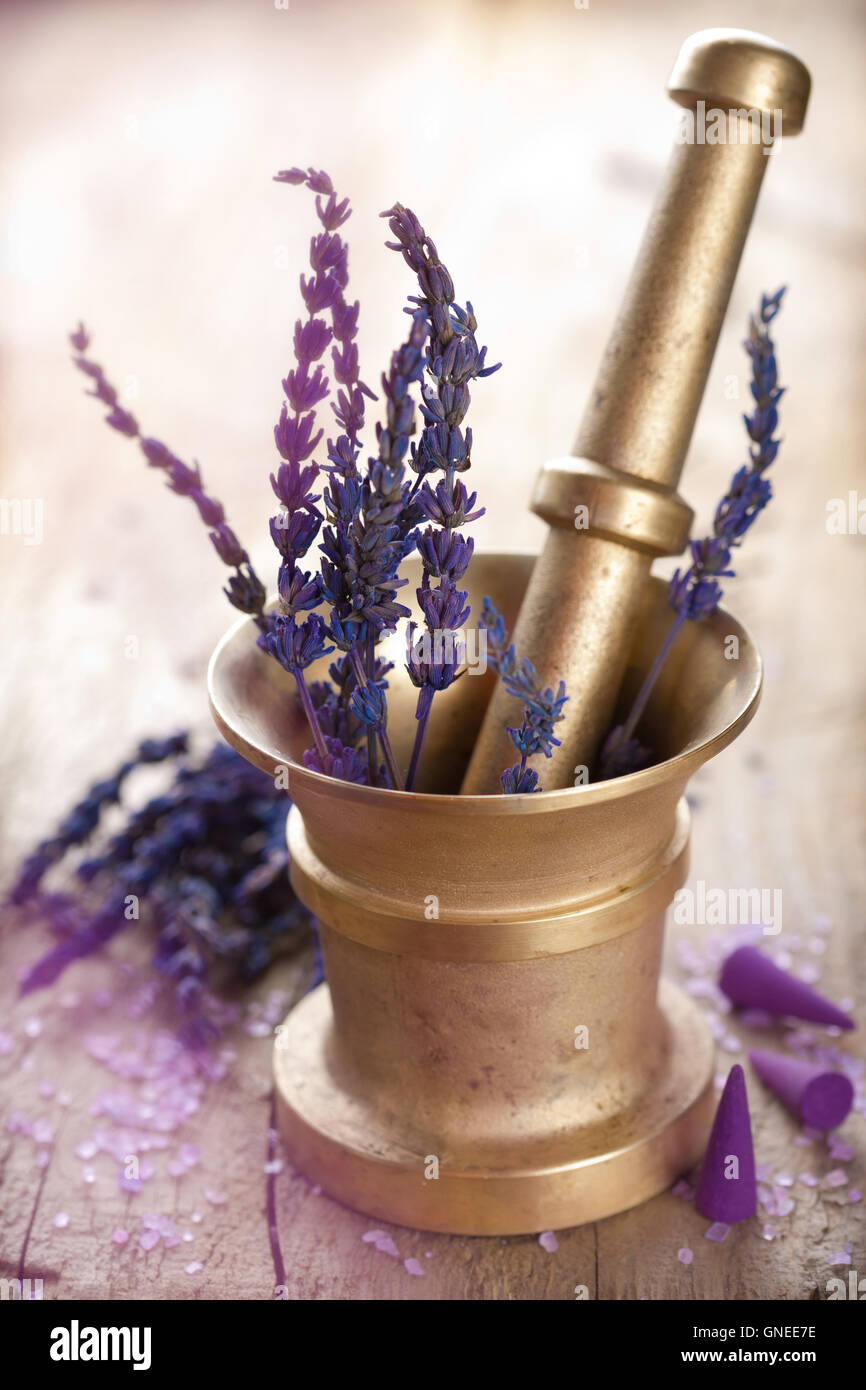 mortar with lavender Stock Photo - Alamy