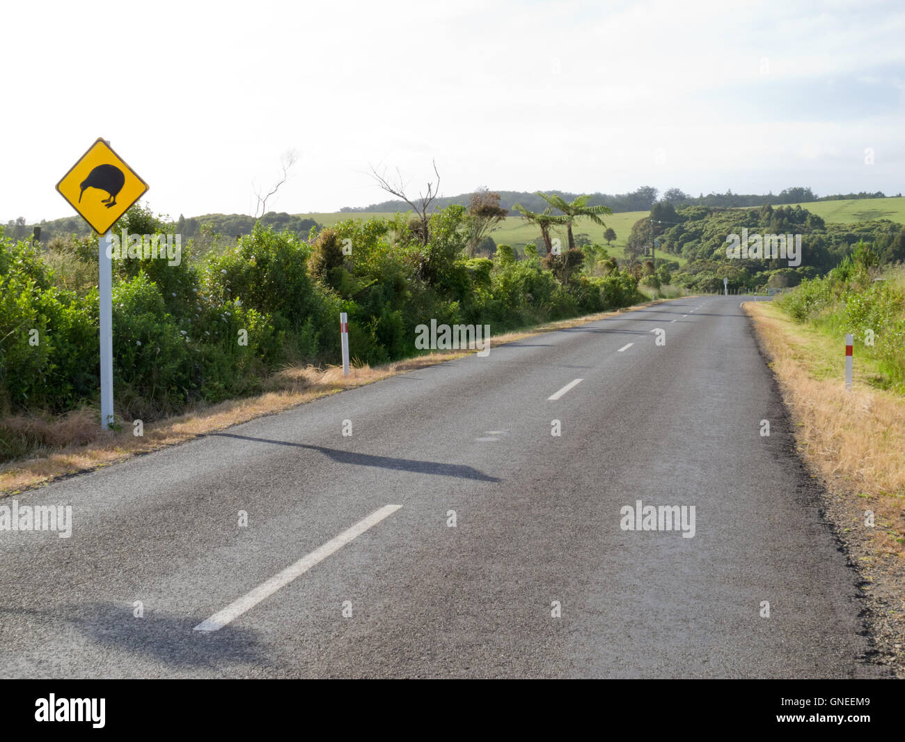 Wandering attention hi-res stock photography and images - Alamy