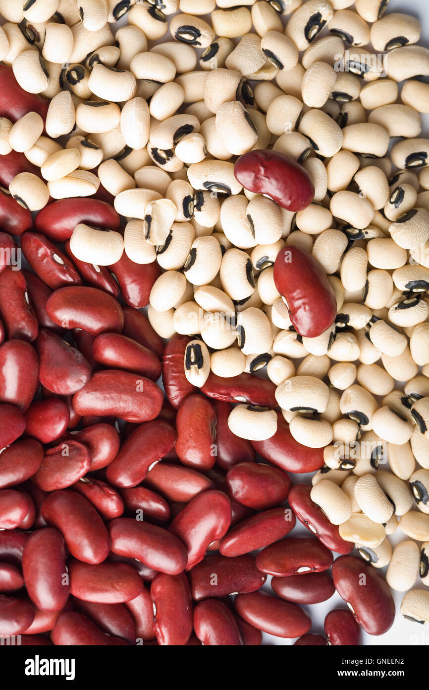 red and white haricot beans background Stock Photo - Alamy
