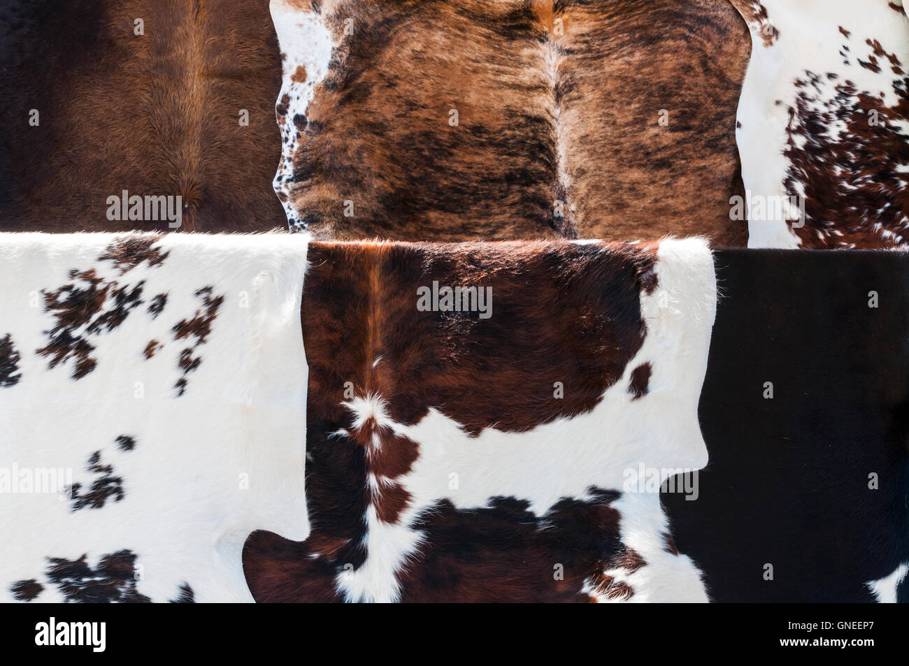 Cattle hides hi-res stock photography and images - Alamy