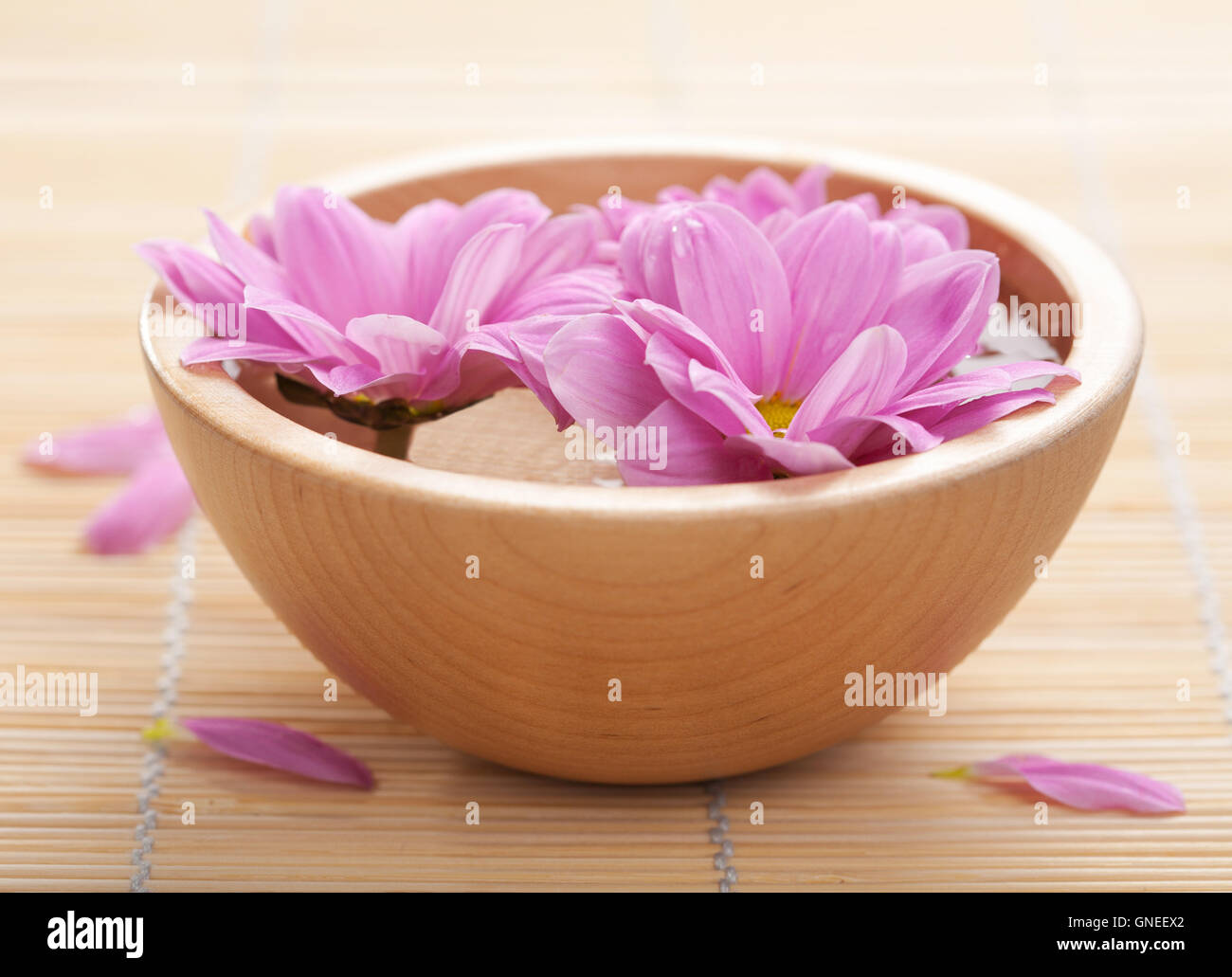 pink flowers in bowl Stock Photo - Alamy