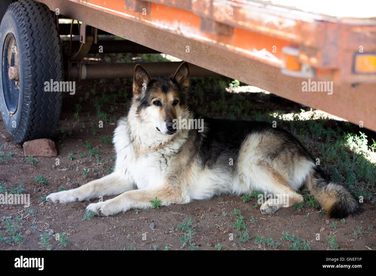 Tractor in shade hi-res stock photography and images - Alamy
