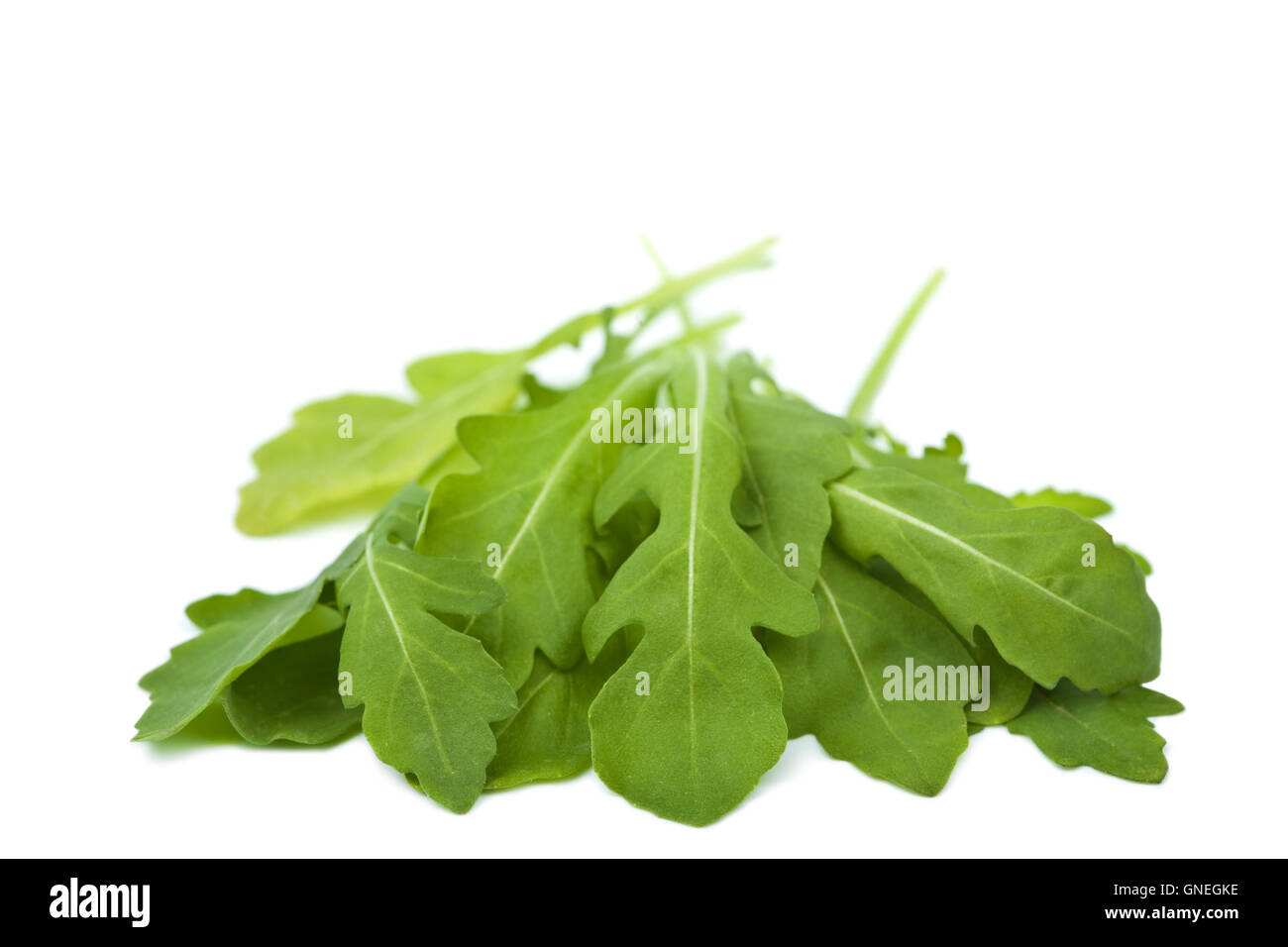fresh rucola isolated Stock Photo - Alamy