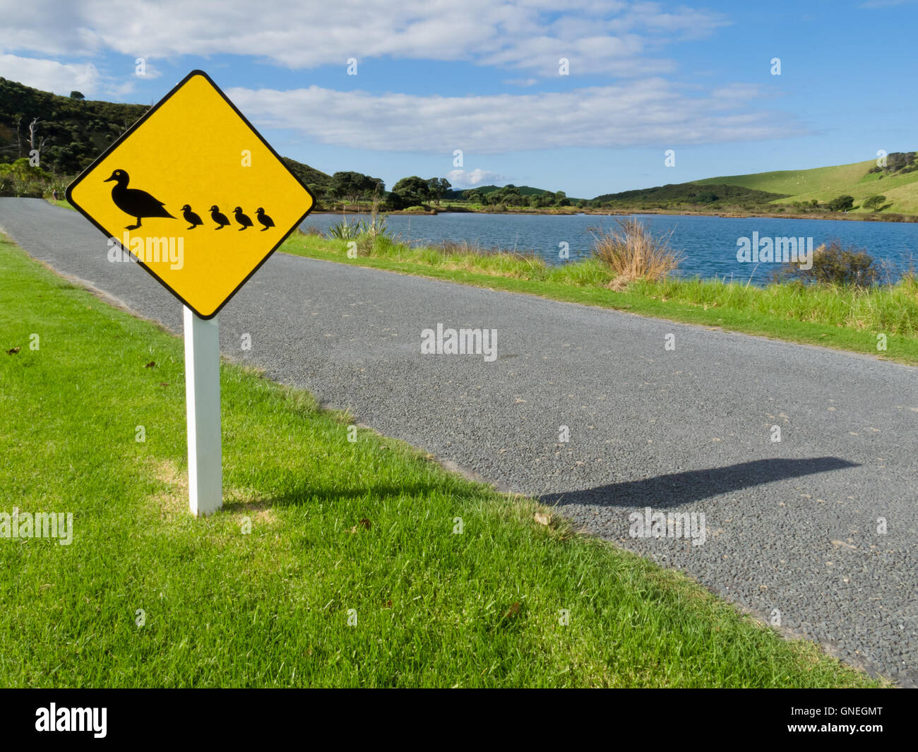 Roadsign warning, ducks with ducklings crossing Stock Photo - Alamy