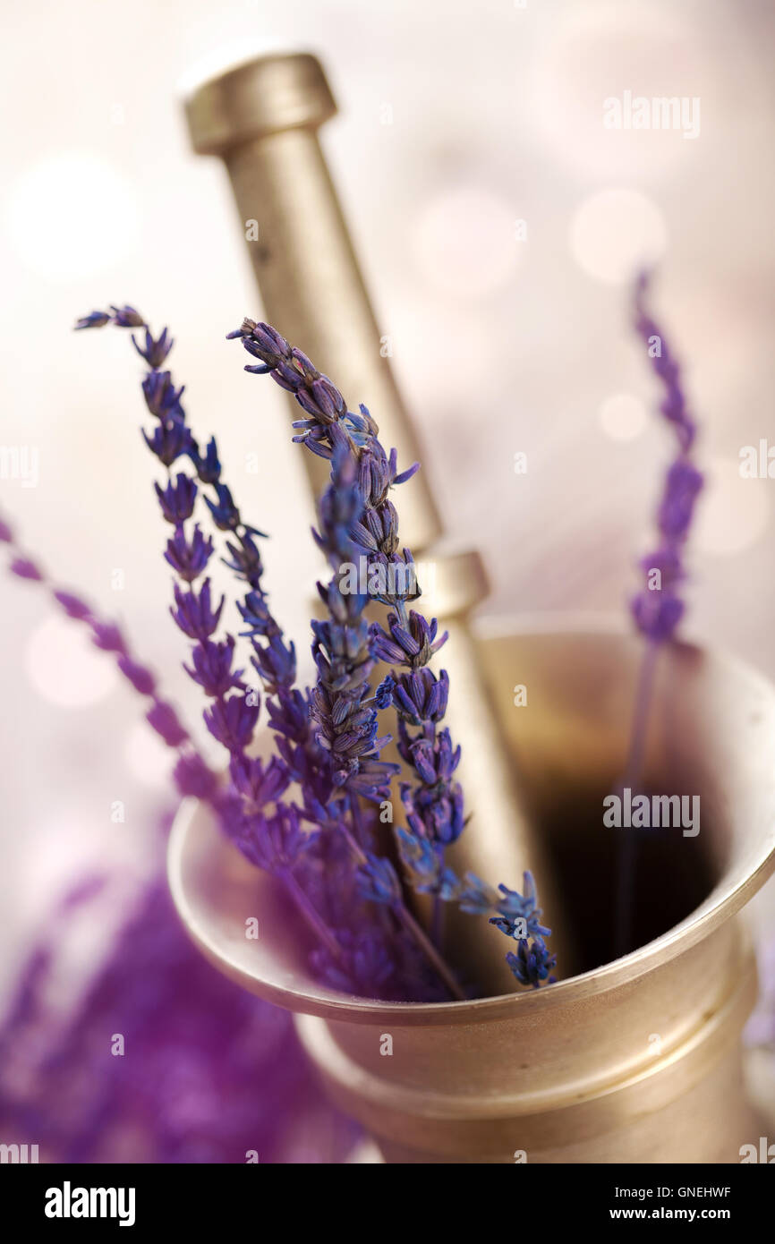 mortar with lavender Stock Photo - Alamy