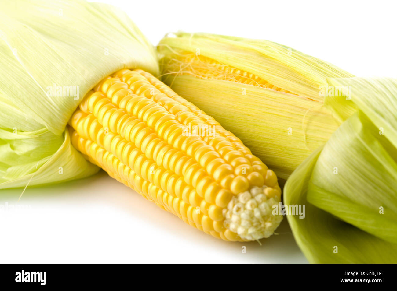 closeup of fresh maize corns isolated Stock Photo - Alamy