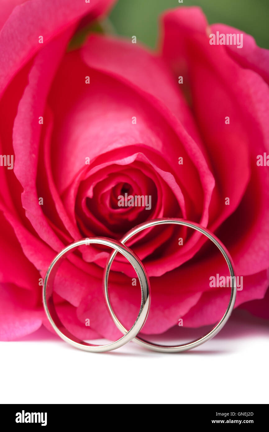 Gold wedding rings and pink rose isolated Stock Photo - Alamy
