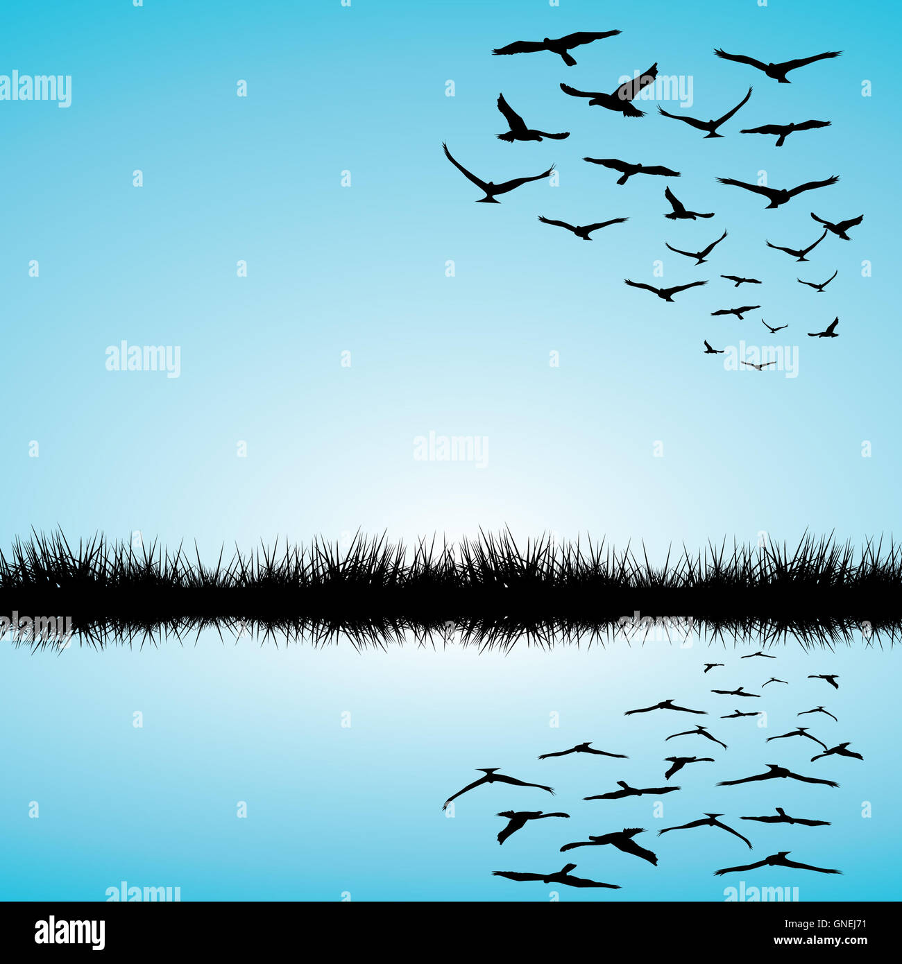 Landscape with a lake and birds flying Stock Photo - Alamy