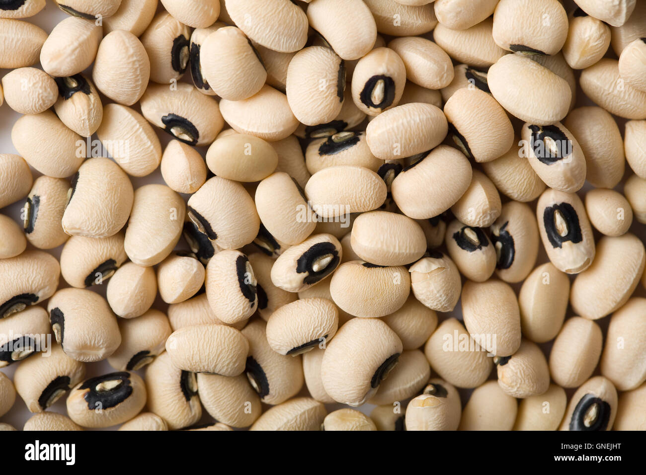 white haricot beans background Stock Photo - Alamy