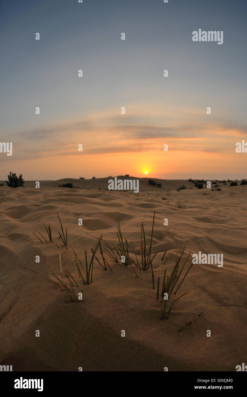 beautiful sunset in desert Stock Photo - Alamy