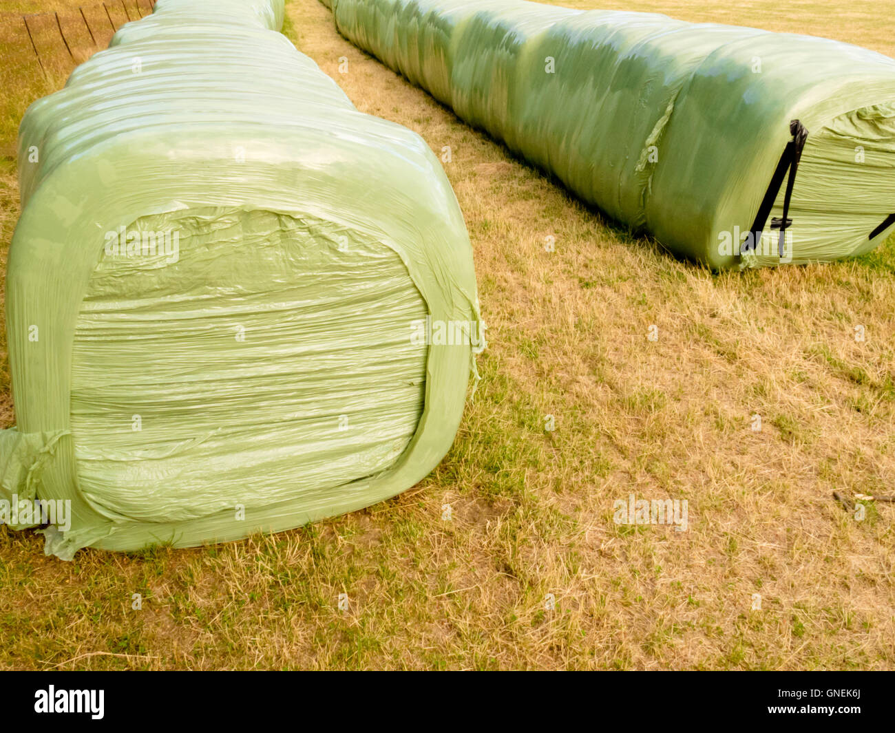 Fermentation hay hi-res stock photography and images - Alamy