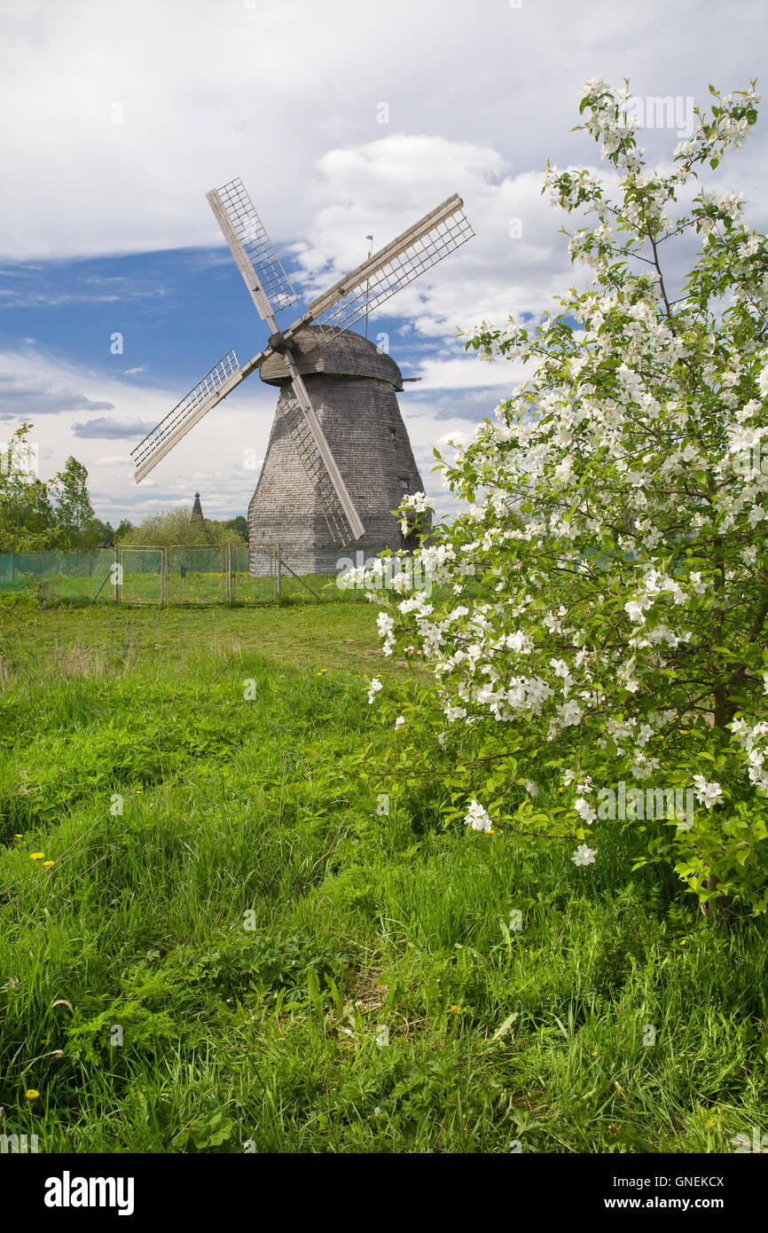 spring landscape with windmill Stock Photo - Alamy