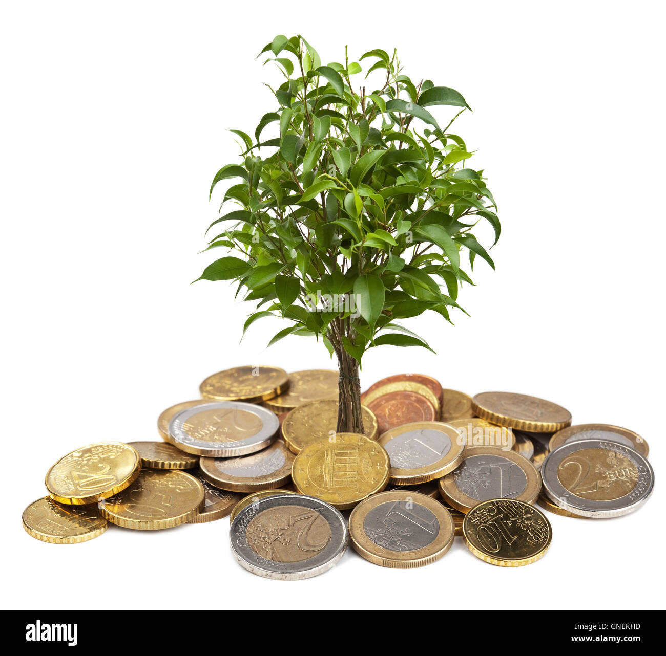 Tree rich bank hi-res stock photography and images - Alamy
