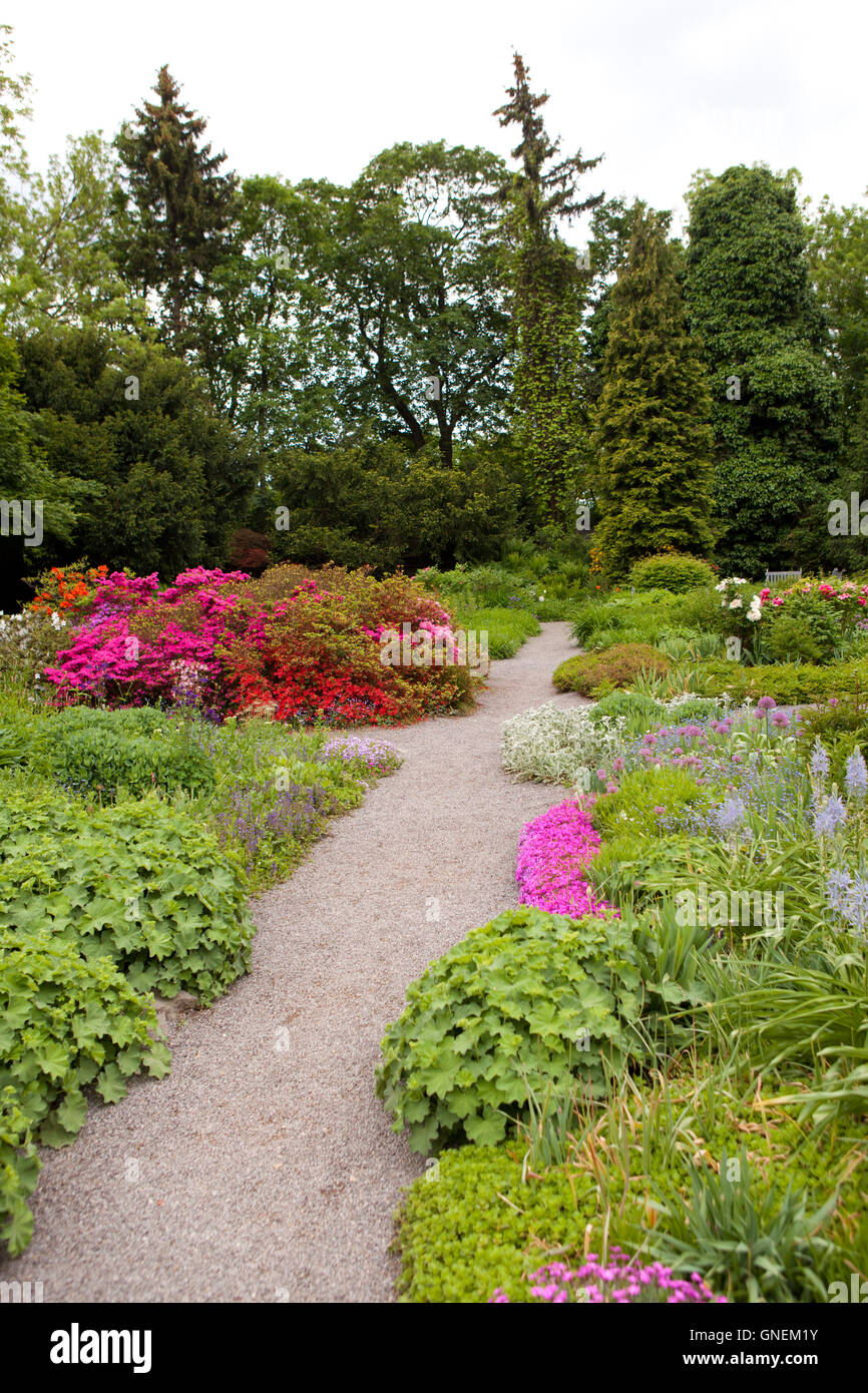 road with flowers in the park Stock Photo - Alamy