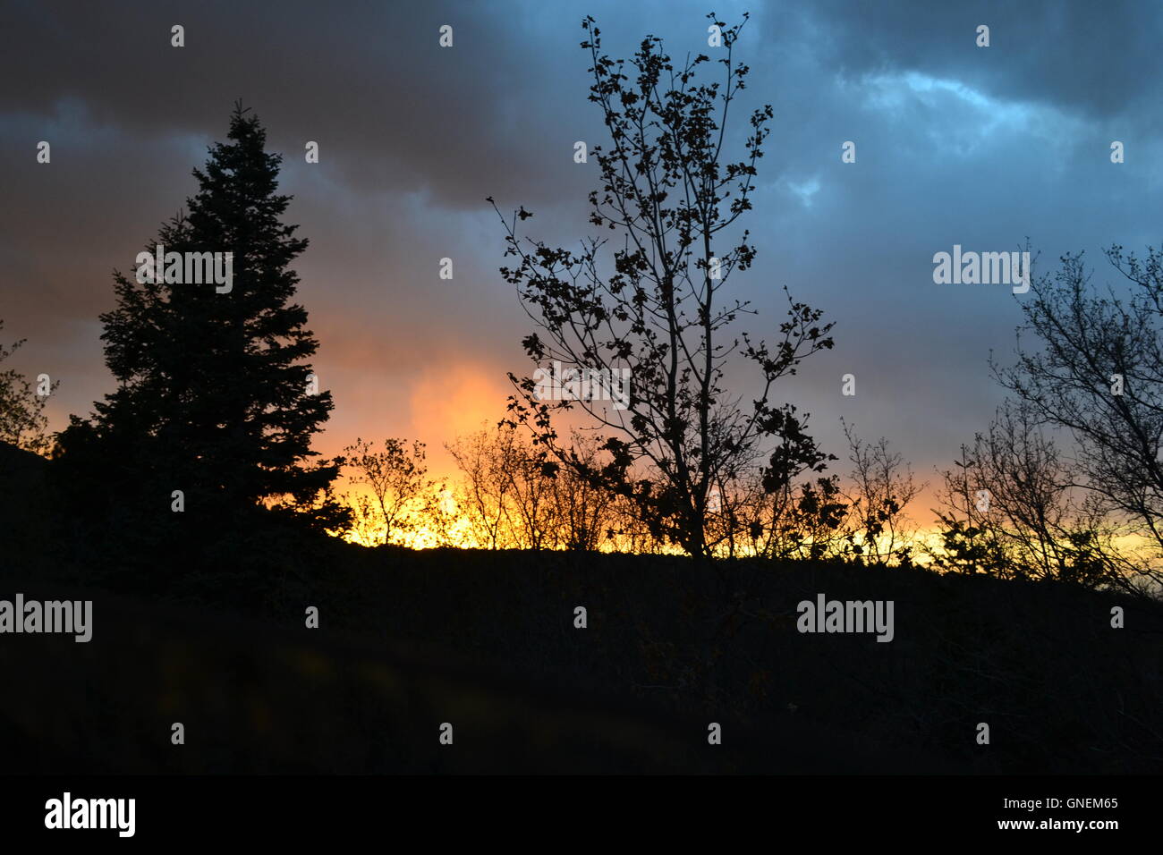 Magic of Nature Stock Photo - Alamy