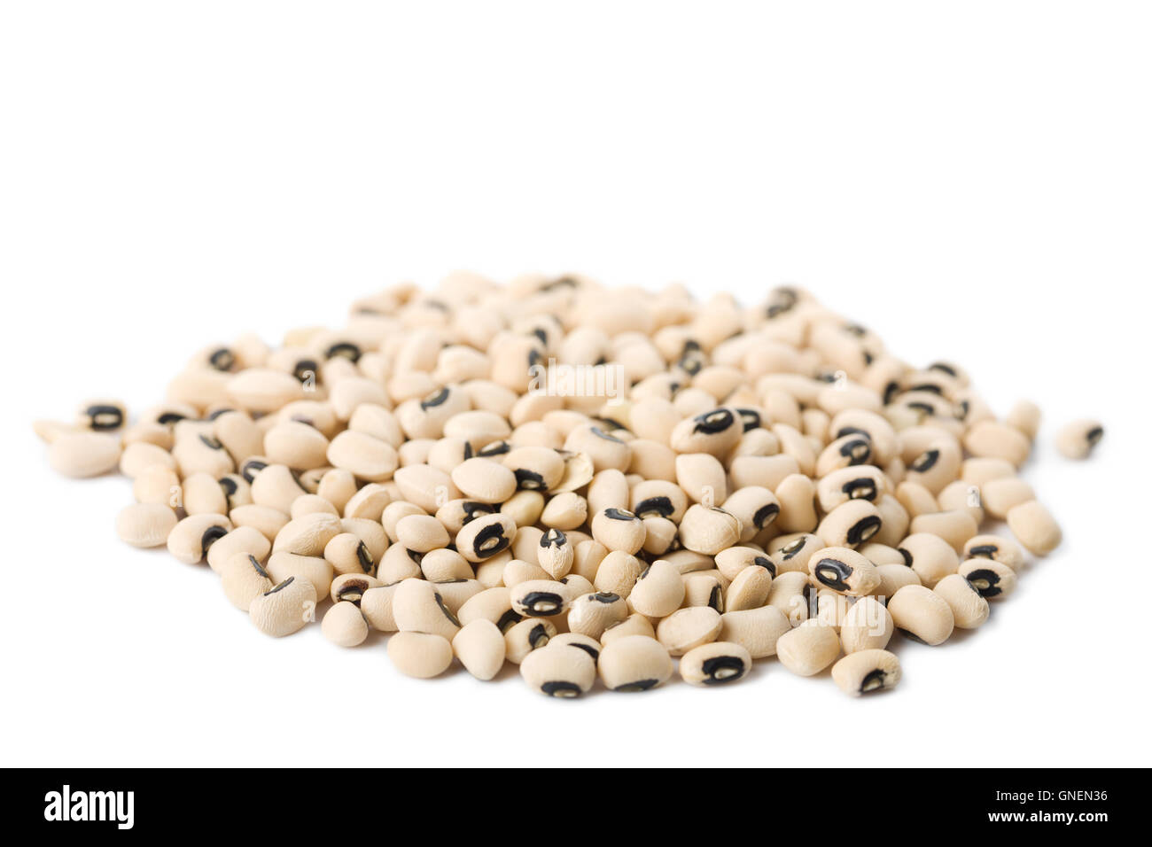 white haricot beans background Stock Photo - Alamy