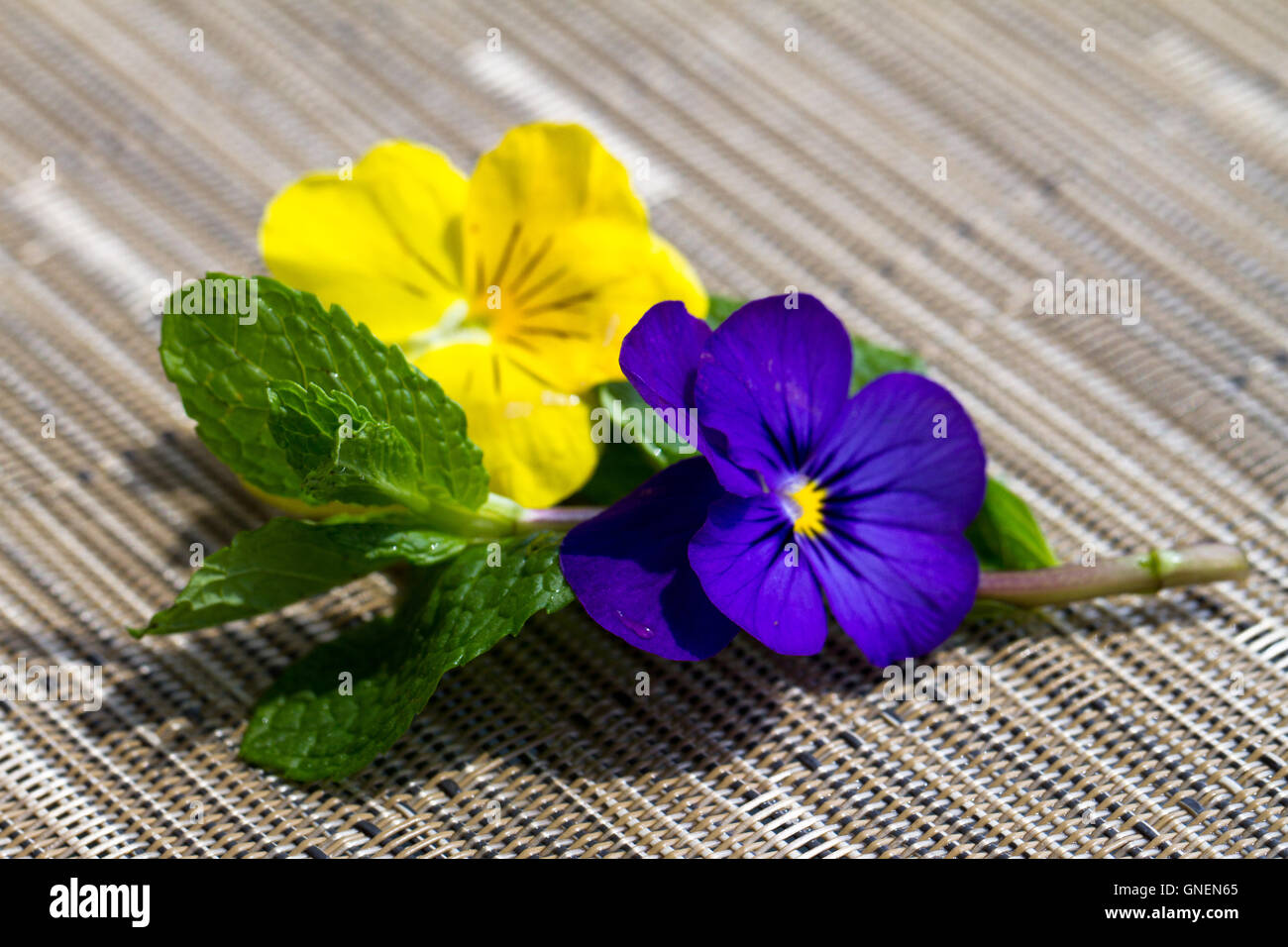 Edible flower garnish hi-res stock photography and images - Alamy