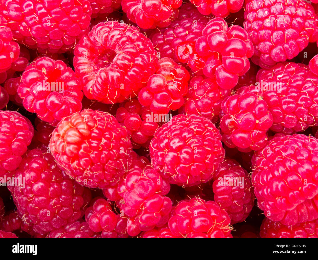 Juicy ripe raspberries background texture pattern Stock Photo - Alamy