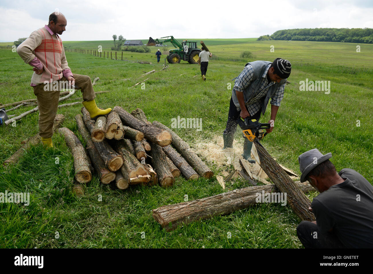 ROMANIA Transylvania village Sura Mica, pasture land, fence ...