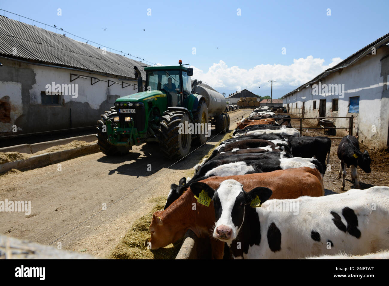 Eu milk production hi-res stock photography and images - Alamy
